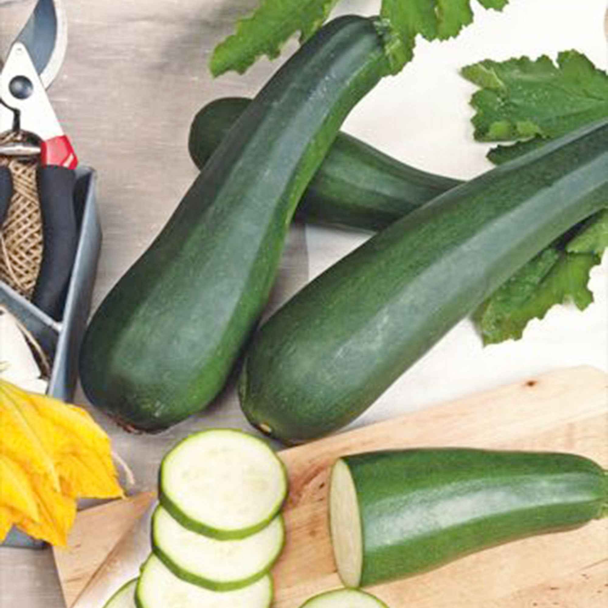 Zaden Courgette 'Partenon F1' - Cucurbita pepo partenon f1 | Bakker.com